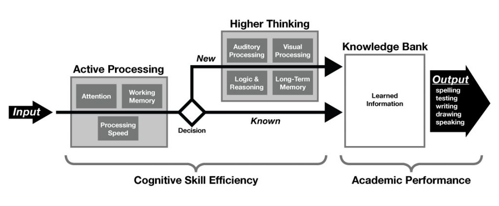 About | Gibson Test of Cognitive Skills